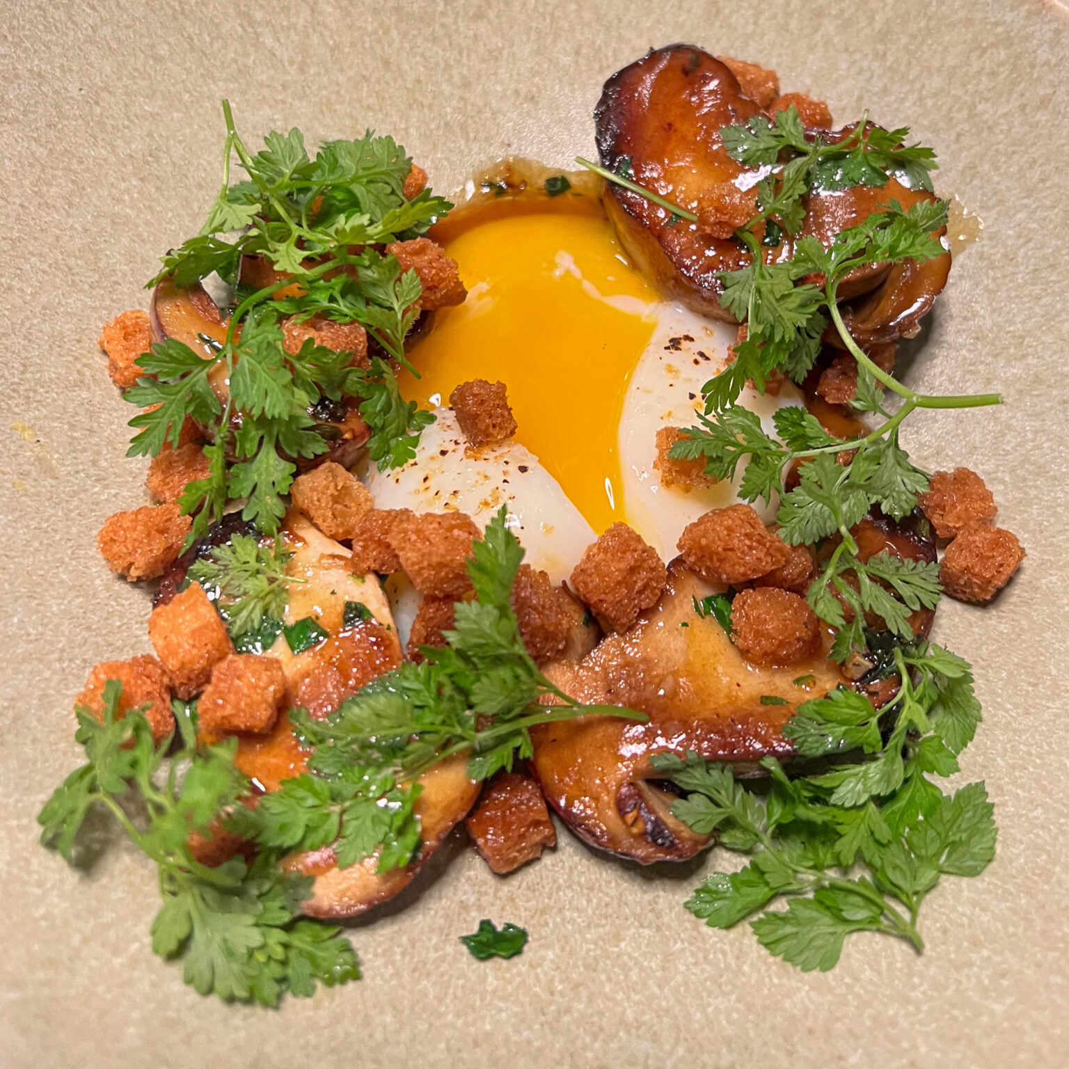 Aléa | PARIS BY MOUTH